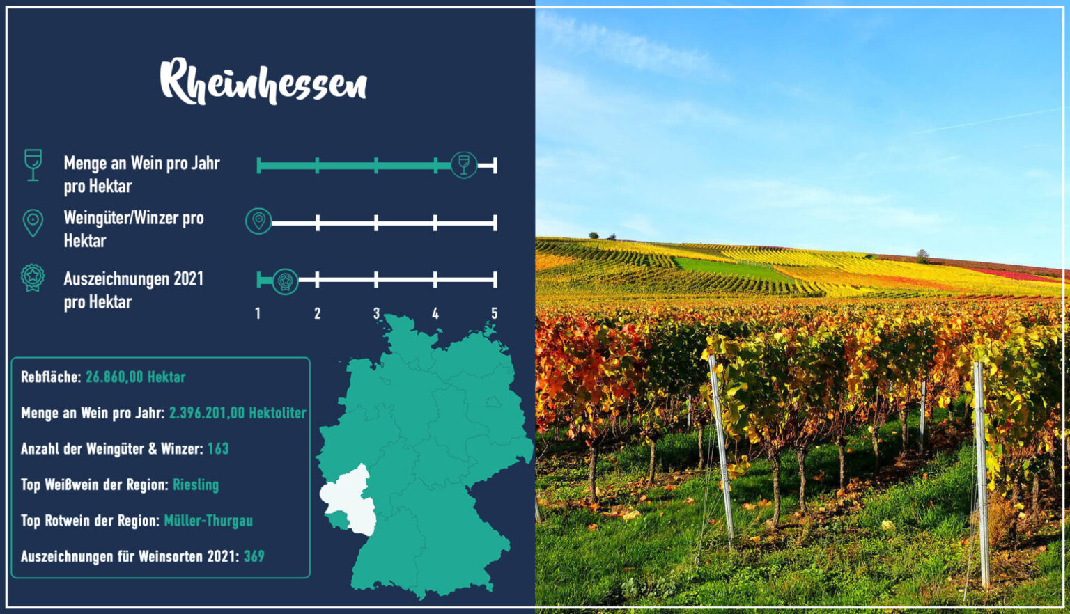 Deutschlands wunderschöne Weinregionen - Travelcircus