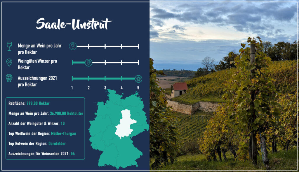 Deutschlands wunderschöne Weinregionen - Travelcircus
