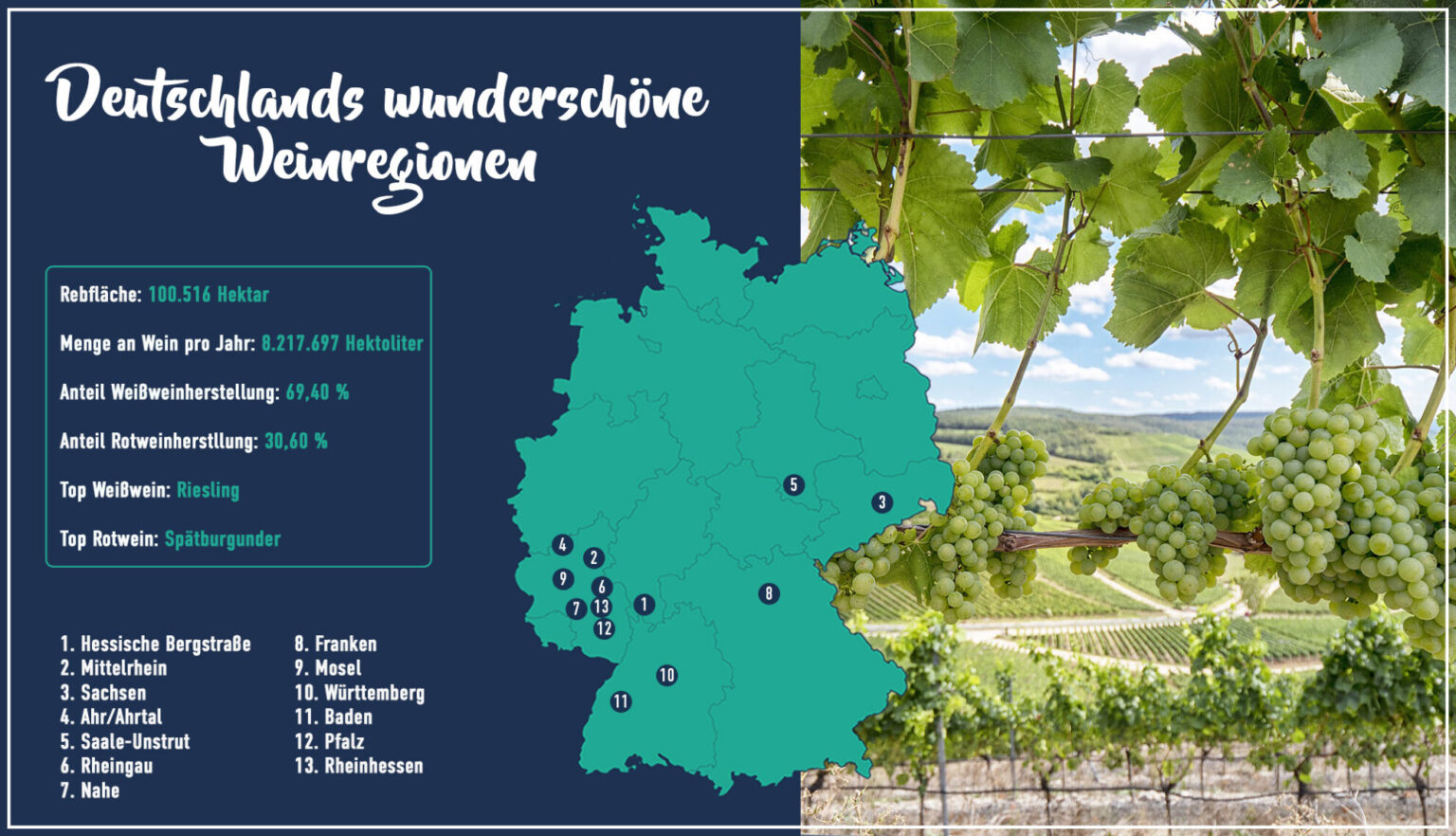 Deutschlands wunderschöne Weinregionen - Travelcircus